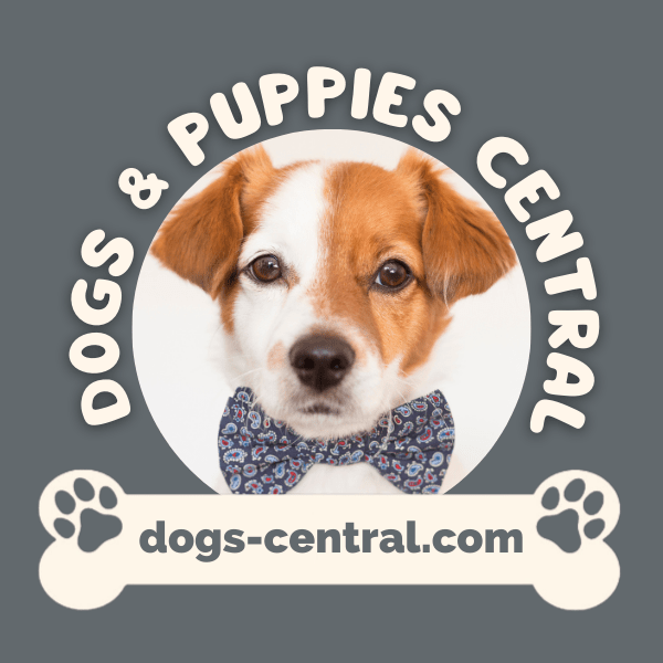 Welcome to Dogs Central – Your Ultimate Dog Breed and Care Resource ...